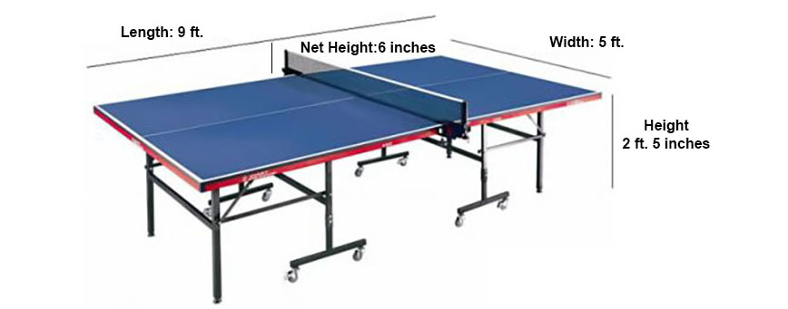 Ping Pong Table Dimensions: Everything You Need to Know (Fall 2022)